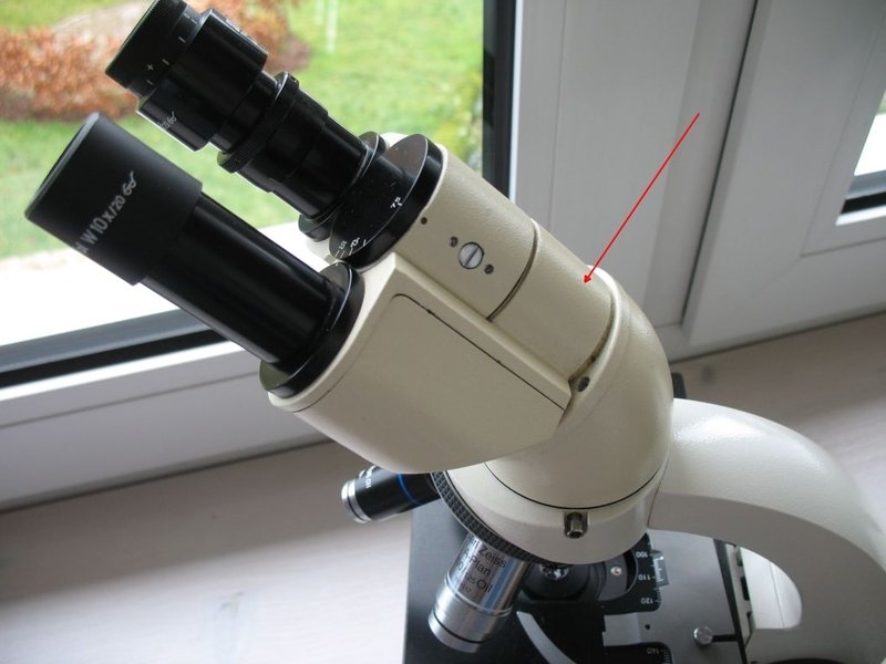 Zeiss KF2: Bino-Tubus mit Glaspilz?