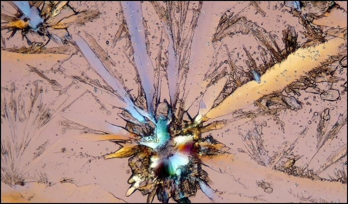 Ohne Deckglas geglimmert - Seite 2