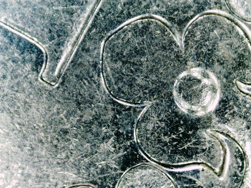 Digimicro Mobile - mobiles digitales Mikroskopieren