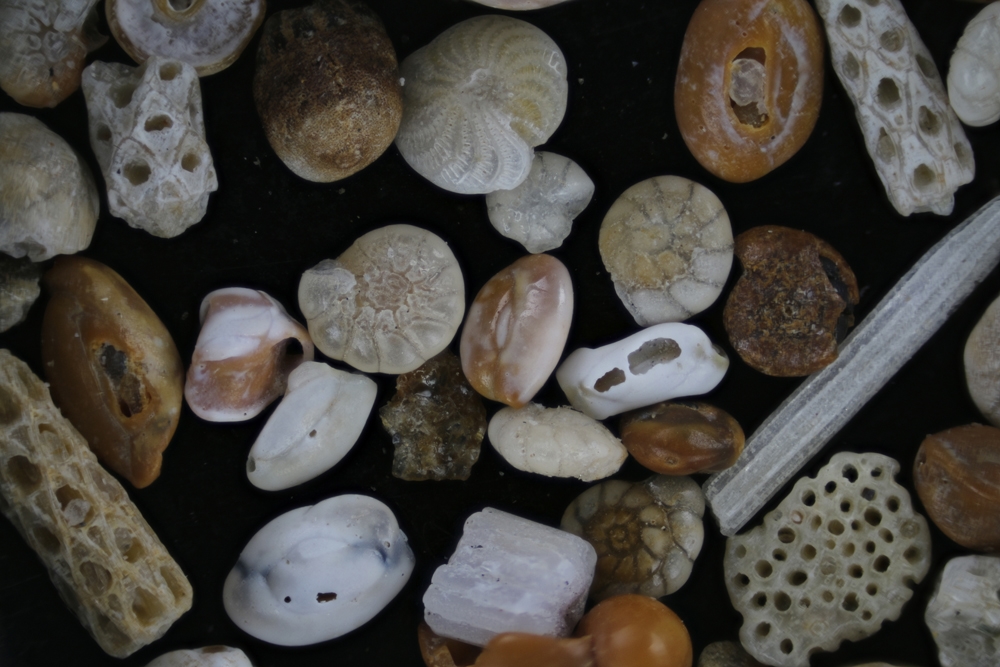 Videostitching vs. klassisches stacken