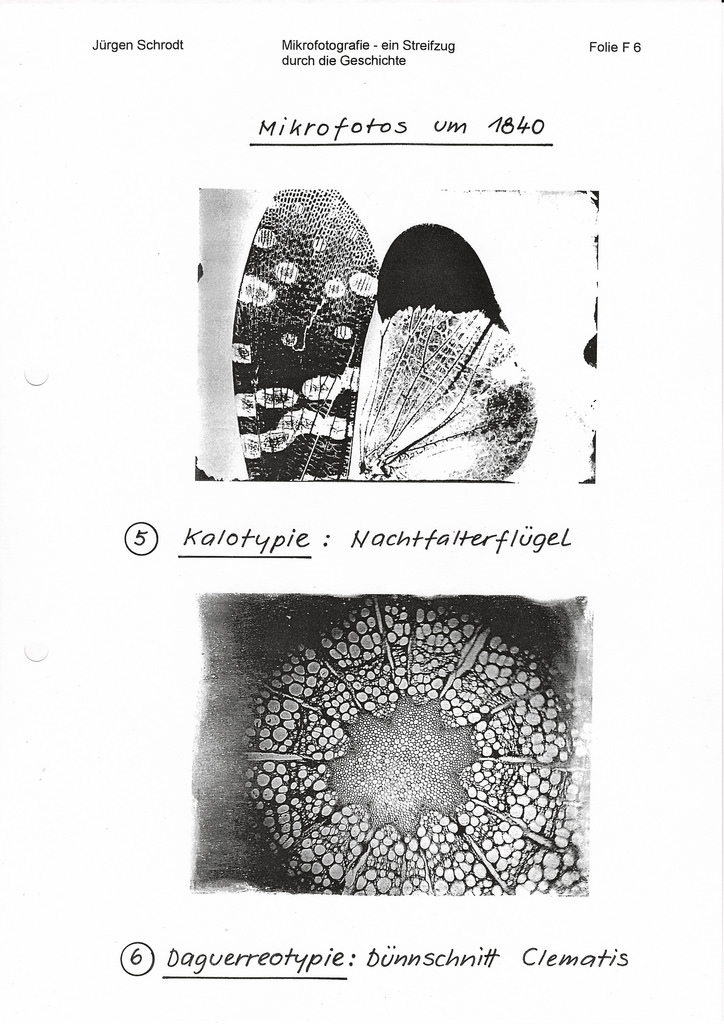 Die Anfänge der Mikrofotografie • Ein kleiner Rückblick in Bildern