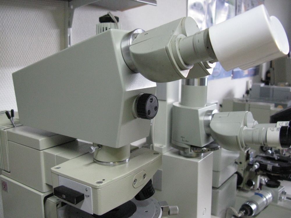 Neues Bino/Trino für Biolam-I