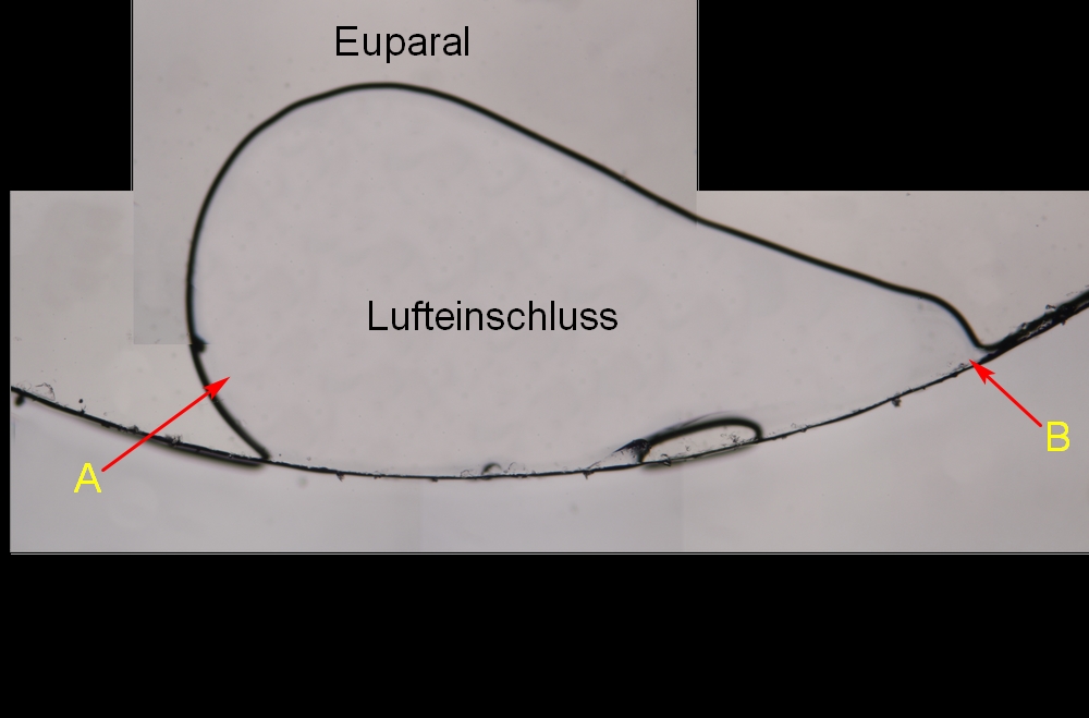 Brauche Hilfe: Lufteinschlüsse nachträglich beseitigen