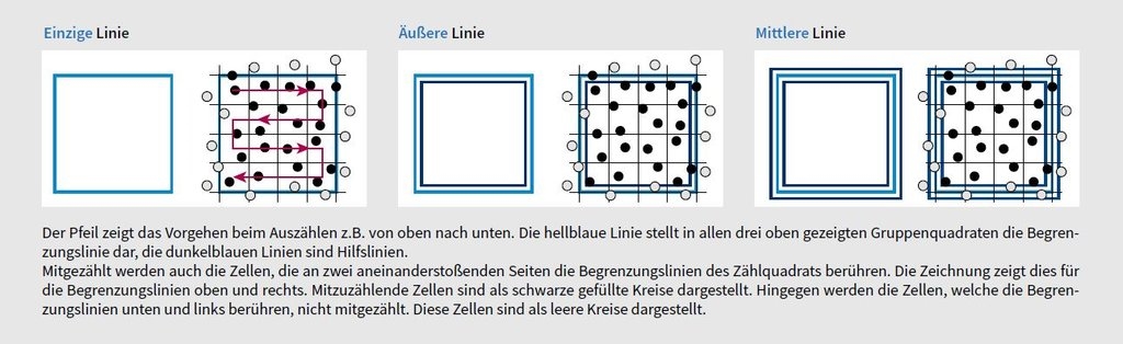 Zählkammer Neubauer improved