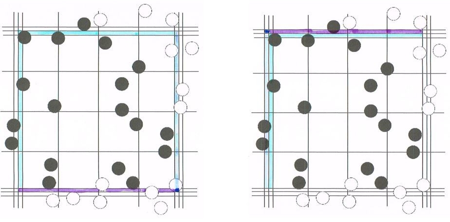 Zählkammer Neubauer improved